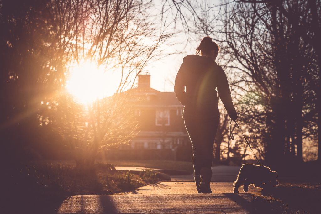 Everyday Magic | A Photography Course - minding my nest