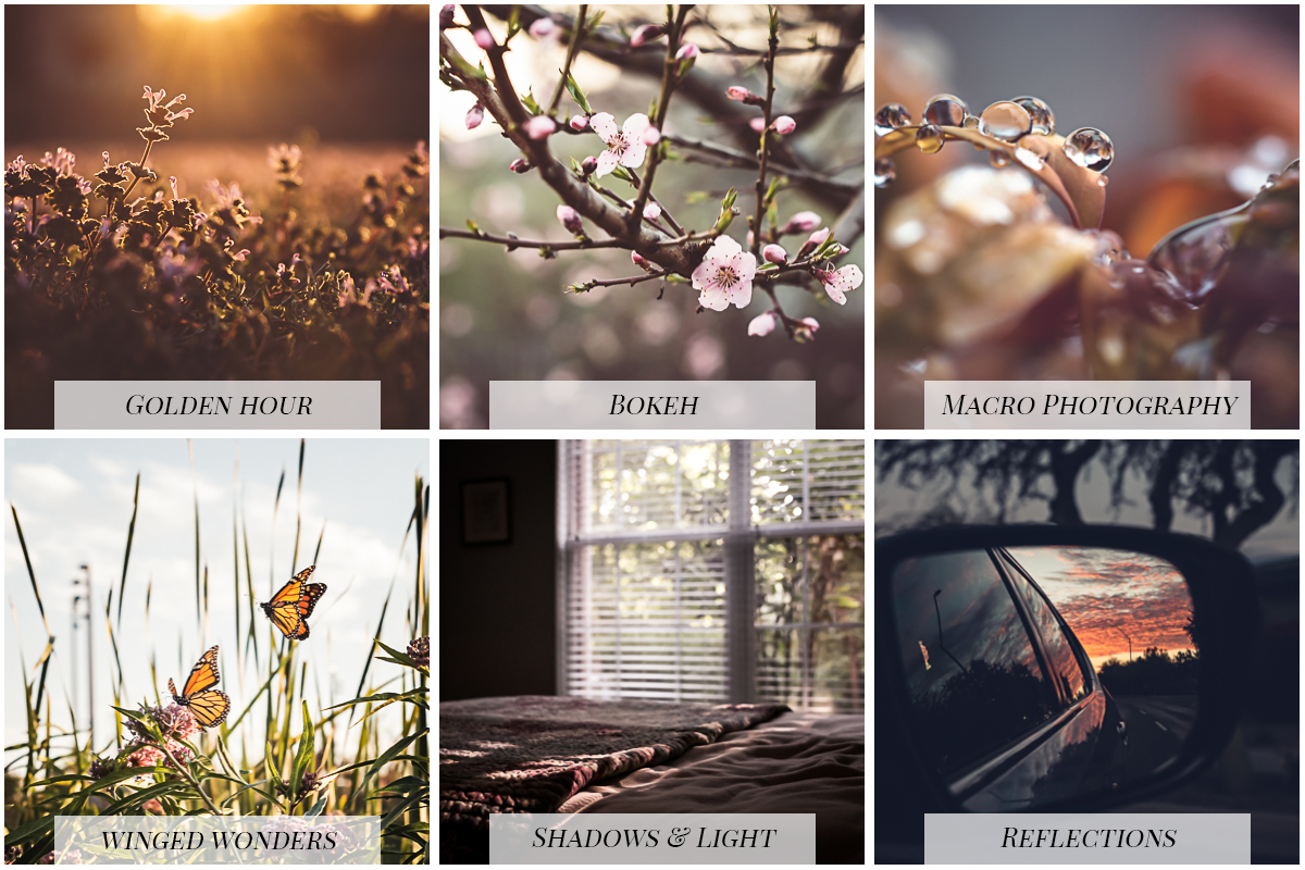 Everyday Magic | A Photography Course